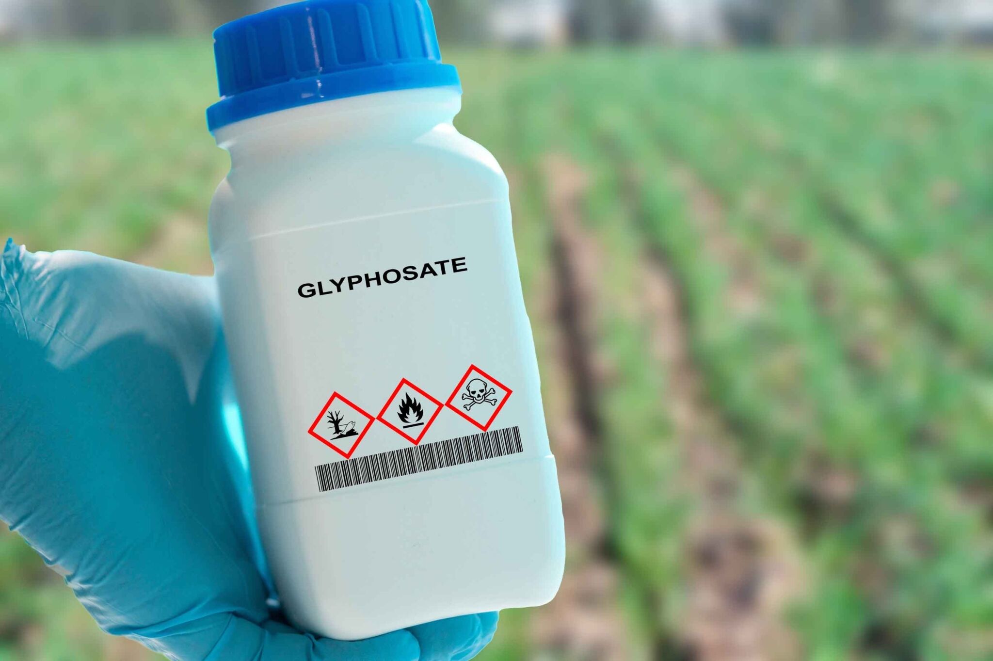 Research finds “low confidence” that glyphosate causes cancer - Truth ...